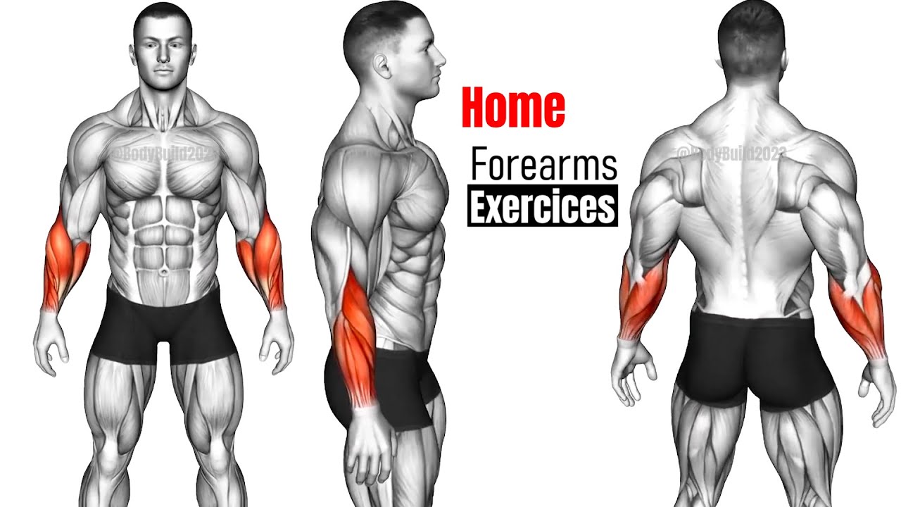 Amazing 9 Exercises to Improve Your Forearms Fast | home workout - YouTube