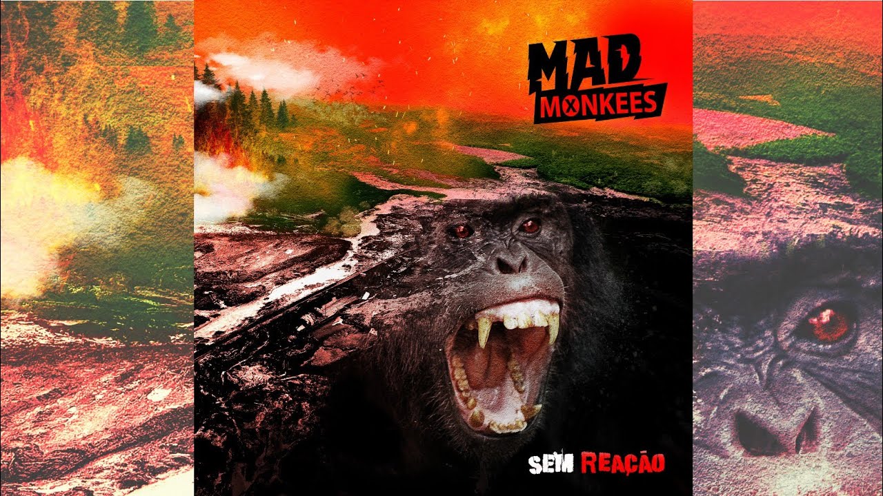 MAD MONKEES - SEM REAÇÃO (lyric video) 2021 - YouTube