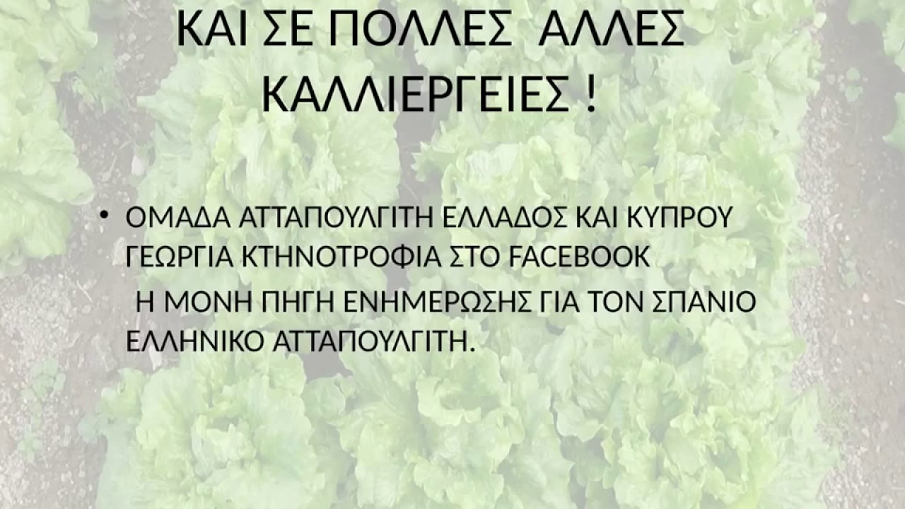 ΟΜΑΔΑ ΑΤΤΑΠΟΥΛΓΙΤΗ ΕΛΛΑΔΟΣ ΚΑΙ ΚΥΠΡΟΥ ΓΕΩΡΓΙΑ ΚΤΗΝΟΤΡΟΦΙΑ ΣΤΟ FACEBOOK ...