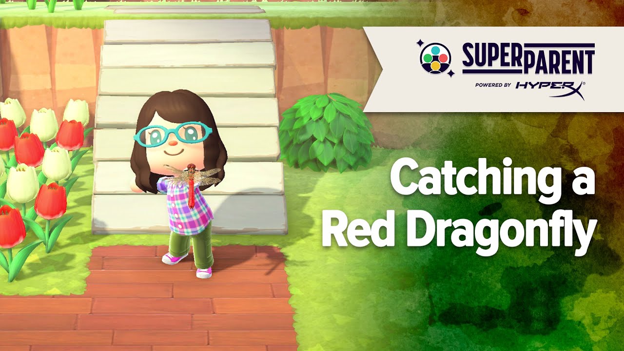 Animal Crossing: New Horizons - Catching a Red Dragonfly - YouTube