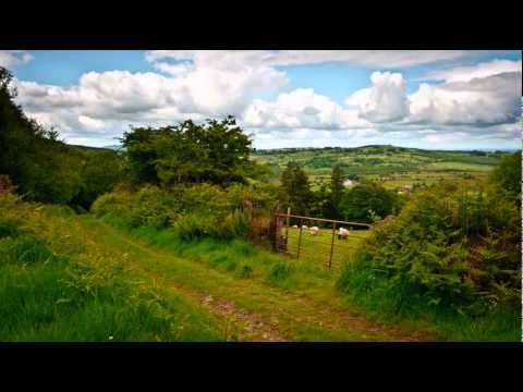 carol thompson - solo harp music