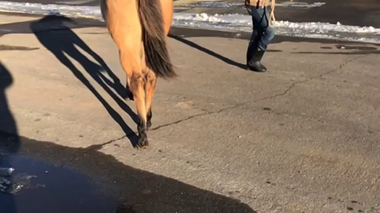 Toe first landing pt.2 - YouTube