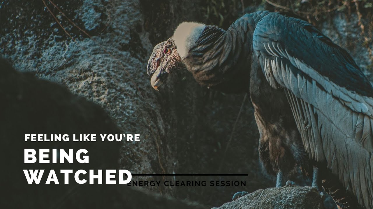 Energy Clearing Video From Vibration Elevation | Robin Yates - YouTube