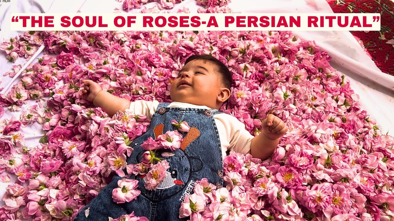 Pure Persian Rose Water - A Magical Morning in Iran! - YouTube