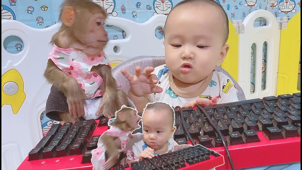 Molly the Monkey wants to bite baby Minh - YouTube