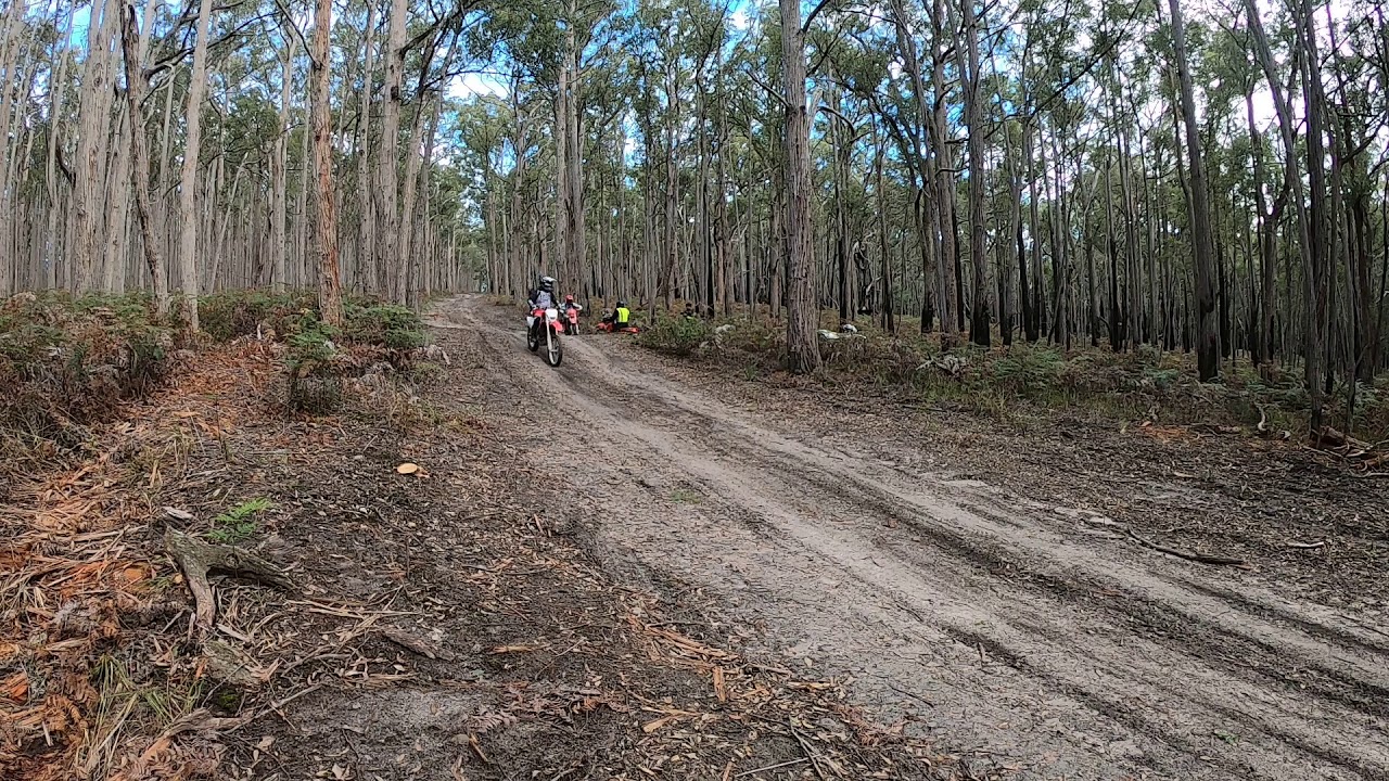 Alberton west state forest 30 - YouTube