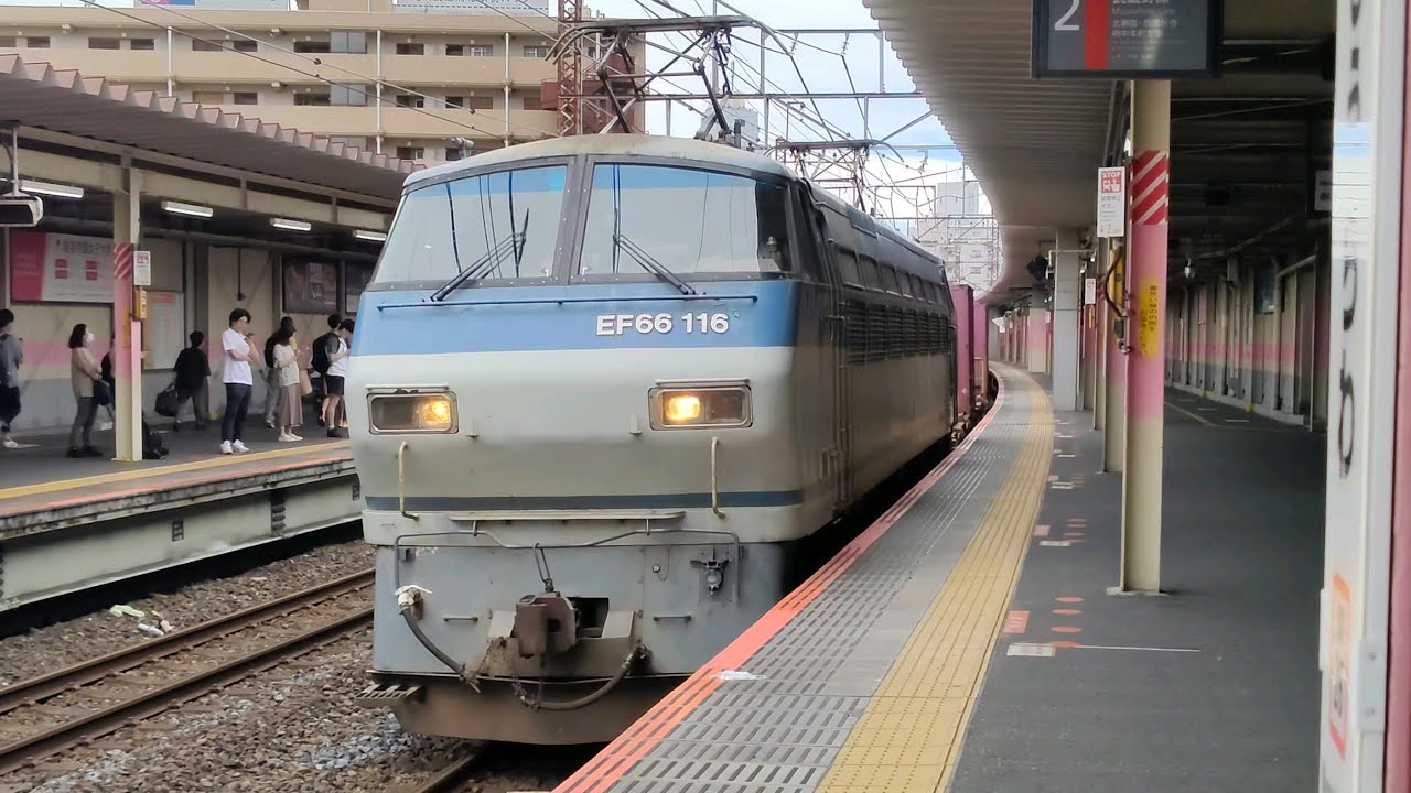 [隅田川シャトル] 7月13日武蔵浦和駅 吹田A9運用 72レ EF66 116 - YouTube