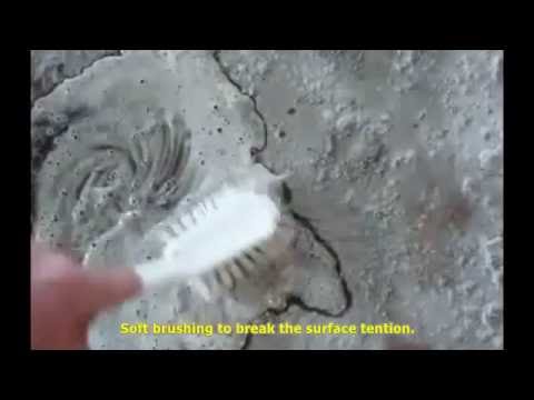 DUZA CLEAN GC DL on cured concrete