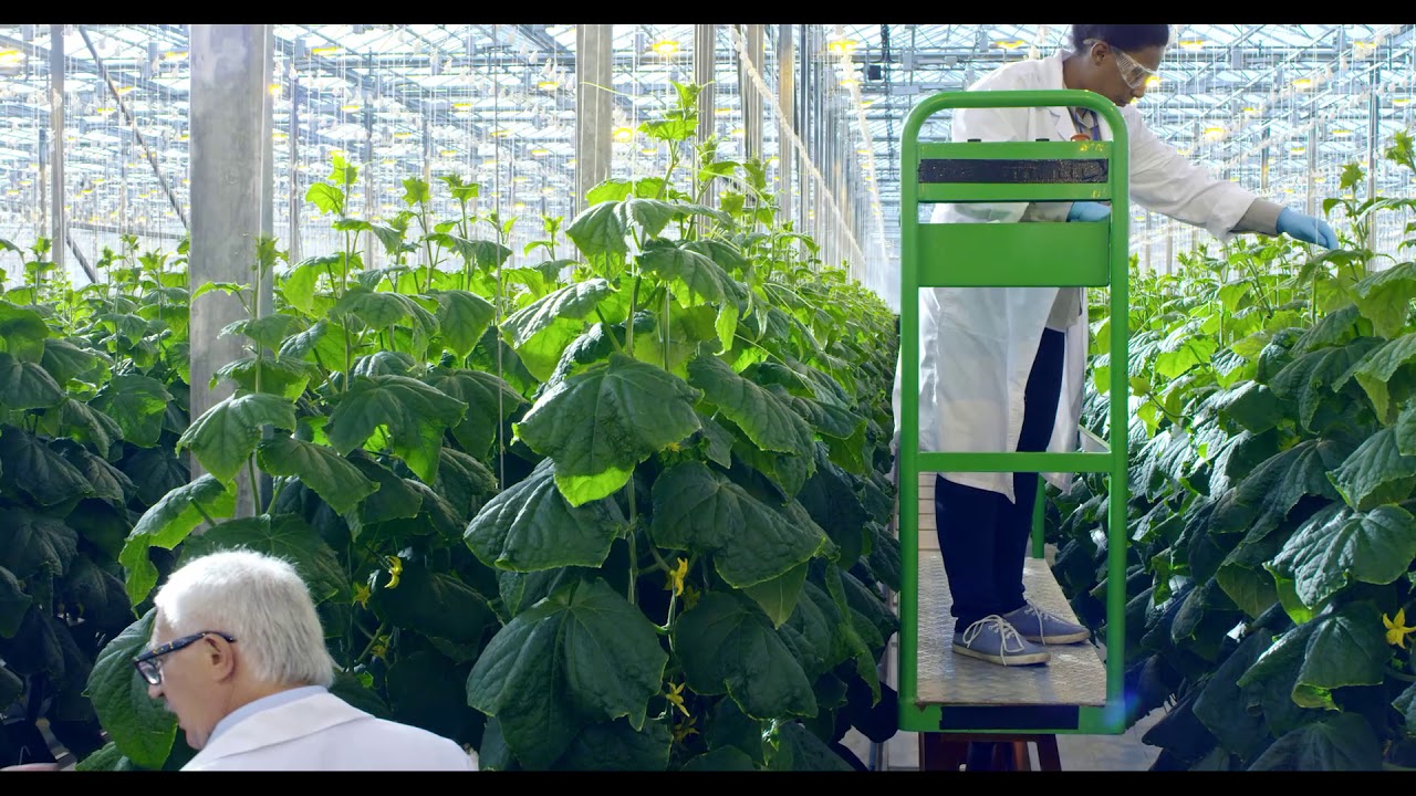 The Seedling Bank - YouTube