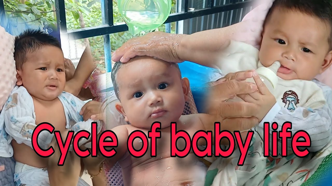 Cycle of Baby Life everyday - YouTube