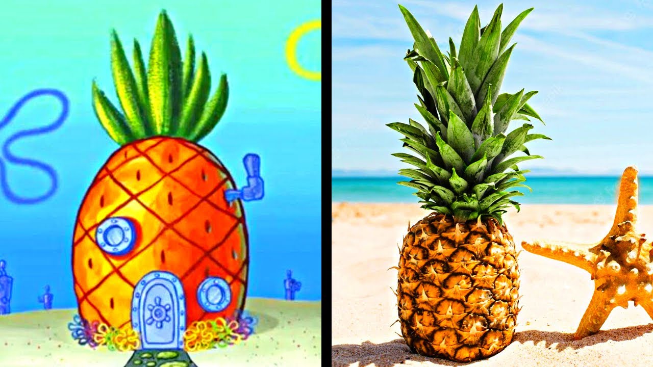 SpongeBob in Real life - Main Characters! Part 146 - YouTube