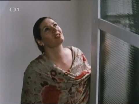 Schimanski 2 Přeběhlík