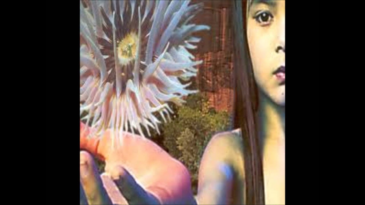 FSOL lifeforms - YouTube