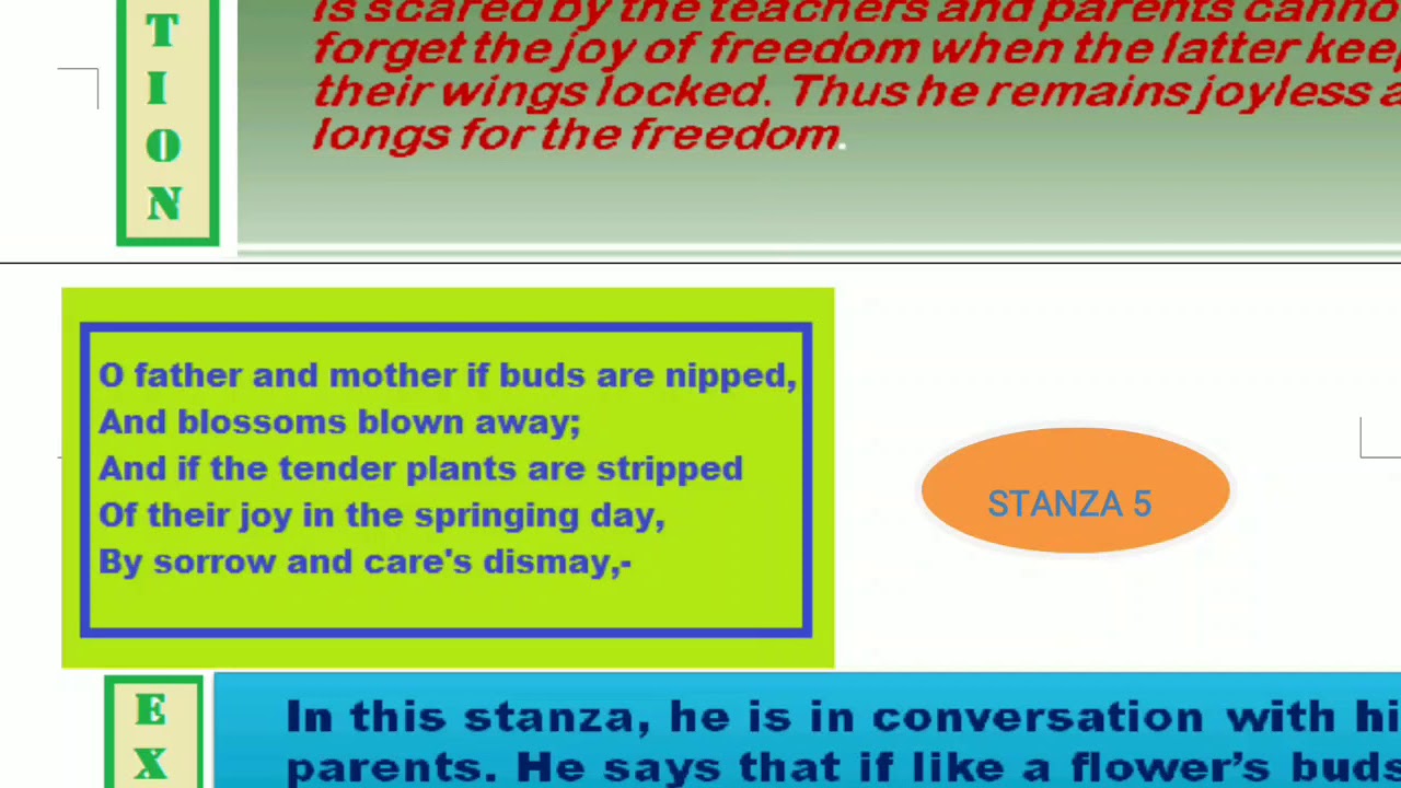 Class 8 poem 5 - The School Boy by William Blake ( honeydew) - YouTube