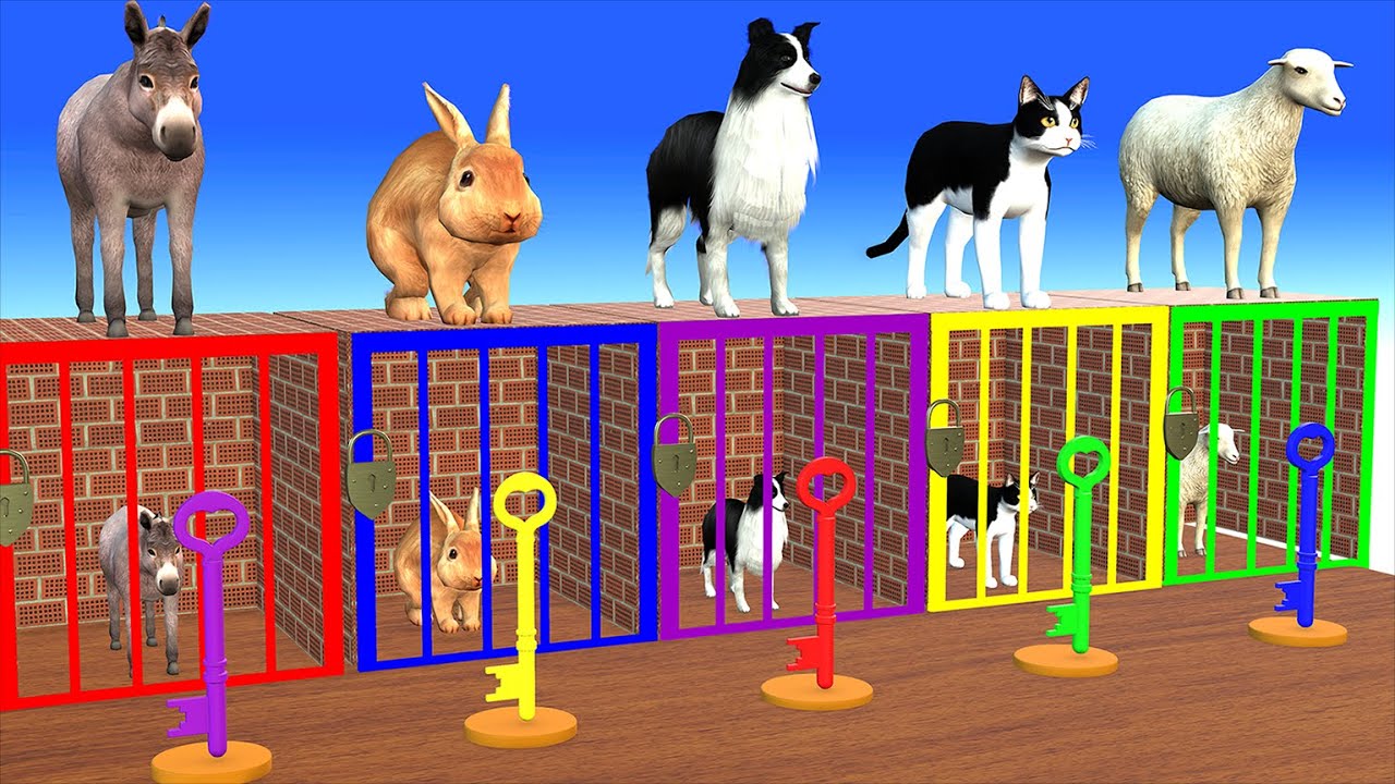Rabbit Donkey Dog Cat Sheep Guess The Right Door ESCAPE ROOM CHALLENGE ...