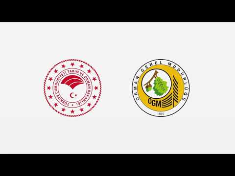 Orman Genel Müdürlüğü/Öncelikli Yayın