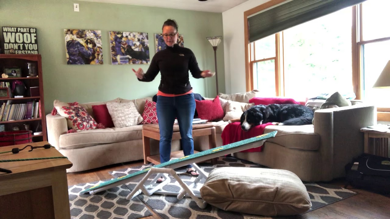 Dog Agility! Start training your dog for the teeter in agility. Learn ...