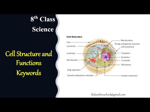 Cell Structure and Functions || Keywords || 8th Class Science ...