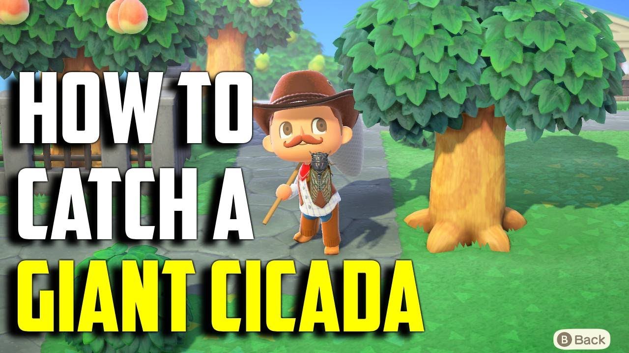 How to Catch a Giant Cicada | Giant Cicada ACNH | Animal Crossing New ...