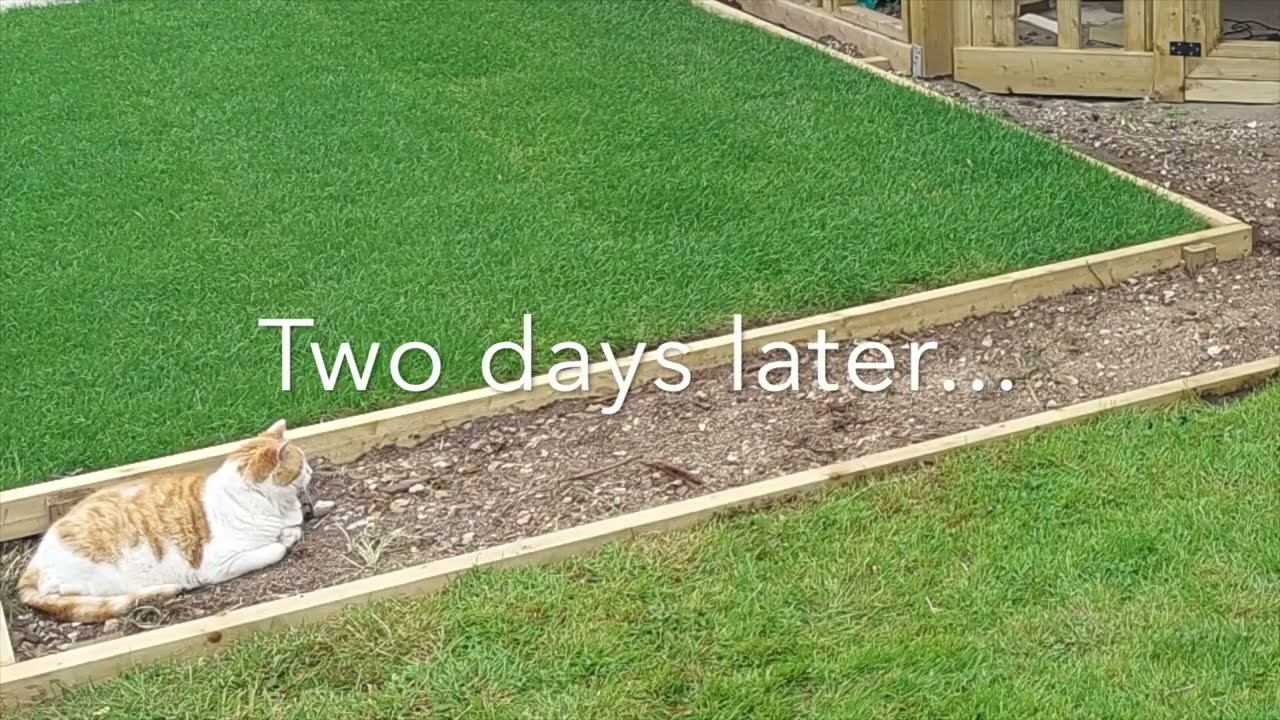 How to make a timber edged gravel path (and the easiest way to lay turf ...