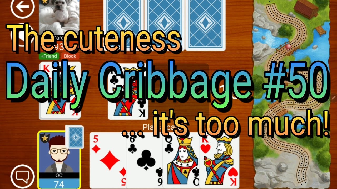 Daily Cribbage #50 - knowing when to play aggressively - YouTube