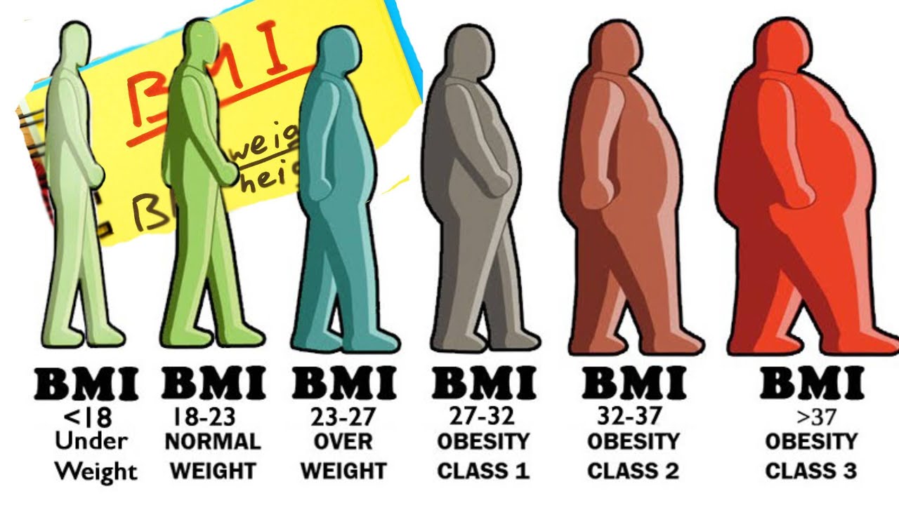 BMI TIDAK COCOK UNTUK BINARAGA ( BMI/IMT rumus mencari berat badan ...