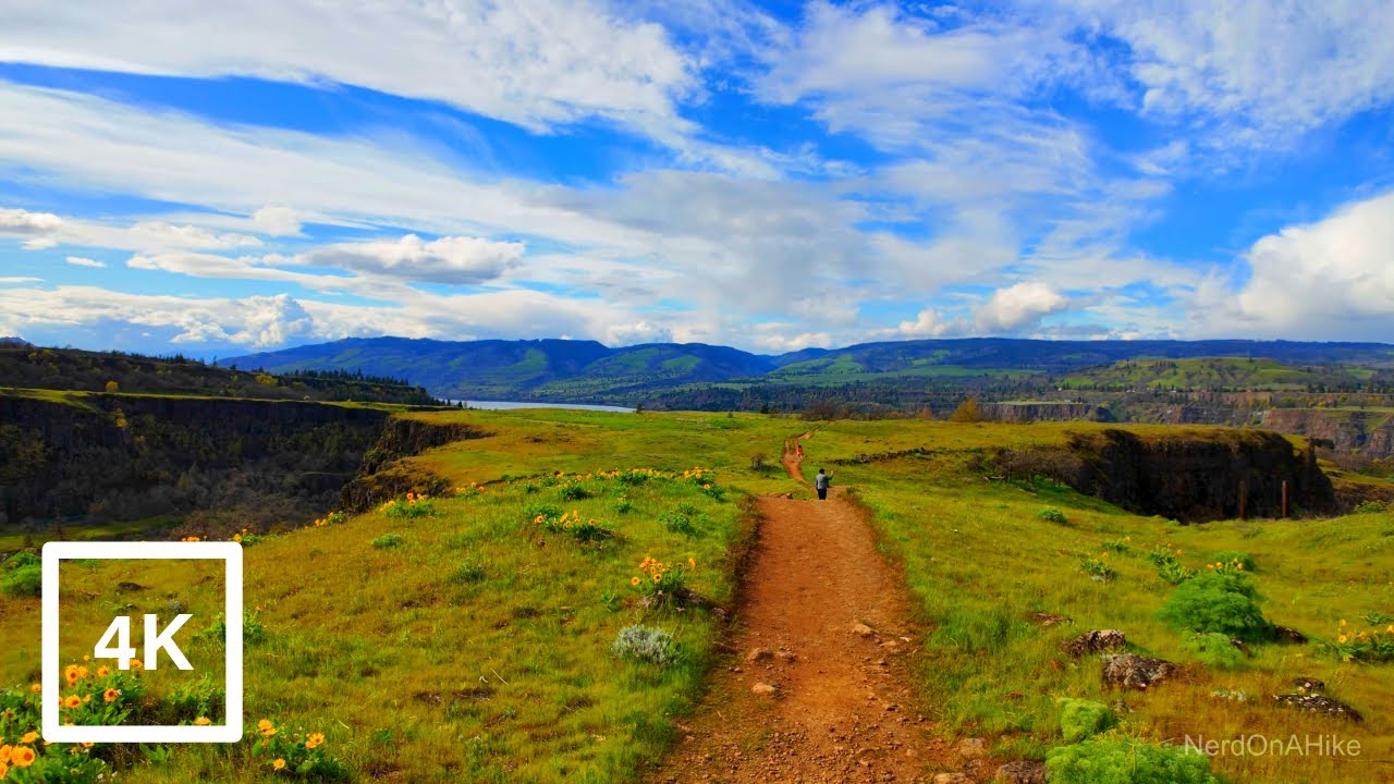 Highlights Rowena Plateau Trail | Very Windy Day | Oregon Hikes Near ...