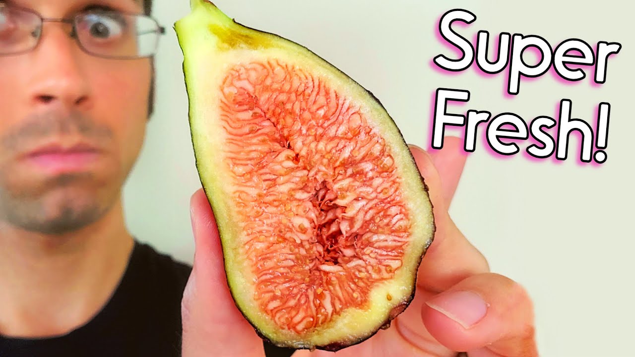 Figs in Algeria Are So Good! - Weird Fruit Explorer - YouTube