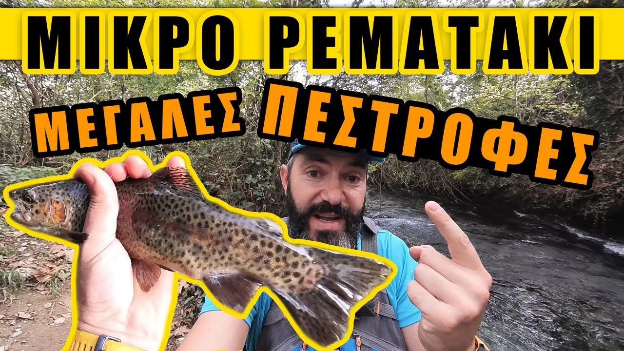 Μικρό Ρεματάκι - Μεγάλες Πέστροφες | Ψάρεμα Πέστροφας | - YouTube