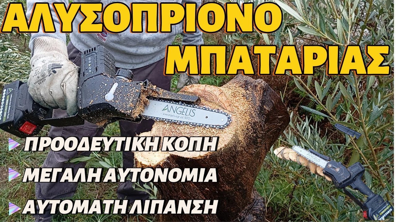 ΑΛΥΣΟΠΡΙΟΝΟ ΜΠΑΤΑΡΙΑΣ '' ΑΓΓΕΛΗΣ '' -ΚΛΑΔΕΜΑ ΕΛΙΑΣ-ΚΑΘΑΡΕΣ ΚΟΠΕΣ ...
