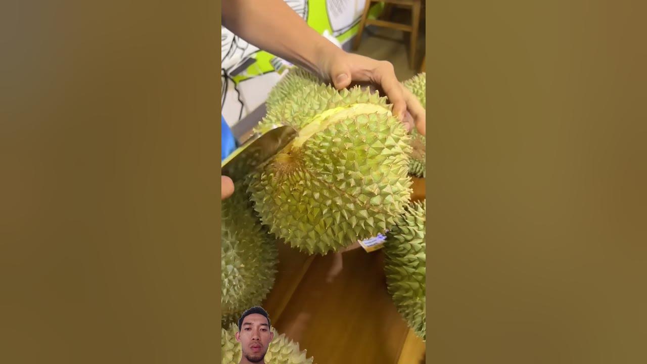 Durian musangking #durian #duriansultan #pecintadurian #youtubeshorts #shortvideo #short # ...