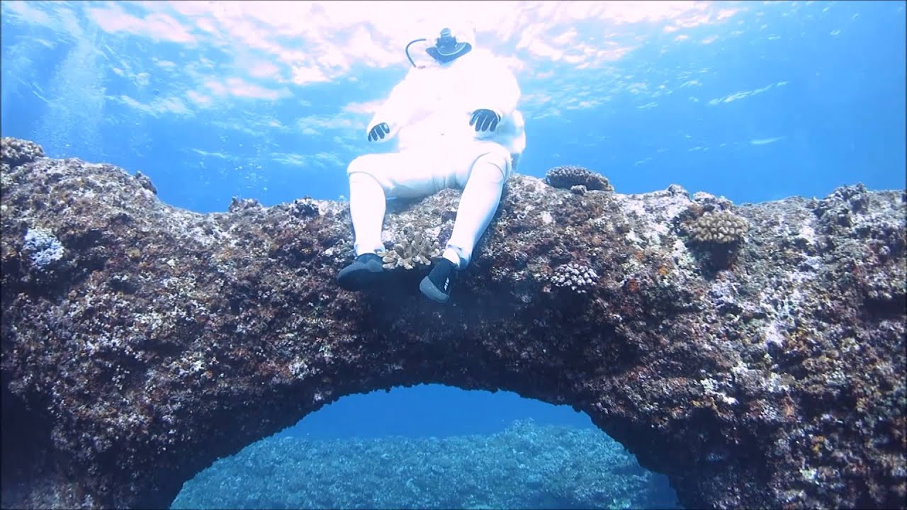 Sheep Diving in MAREA Miyakojima - YouTube