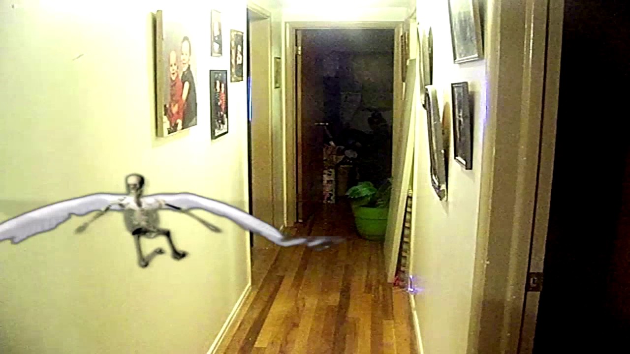 Flying Skeleton Beast caught on camera!!! - YouTube