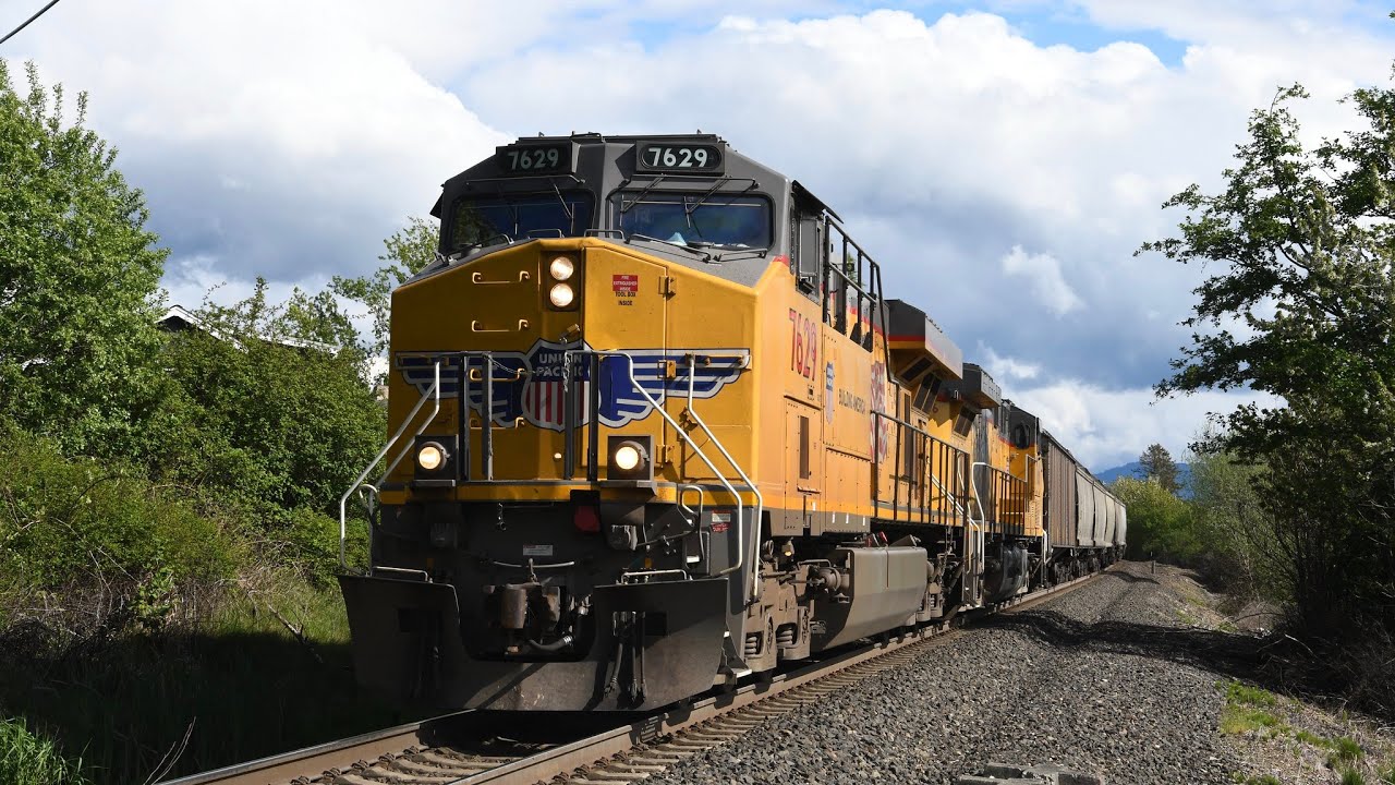 Union Pacific in Bellingham - Grain Trains - CoasterFan2105