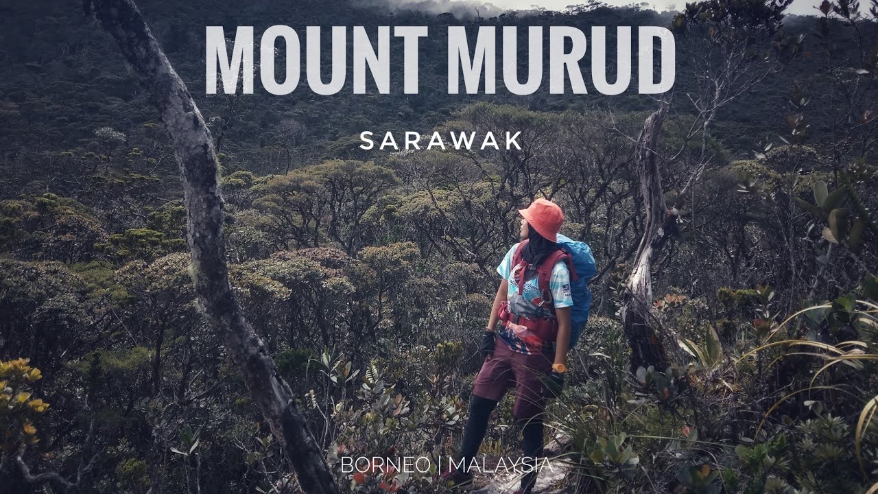 Mount Murud | 29/12 /2021 - 02/01/2022 #murud #bakelalan - YouTube