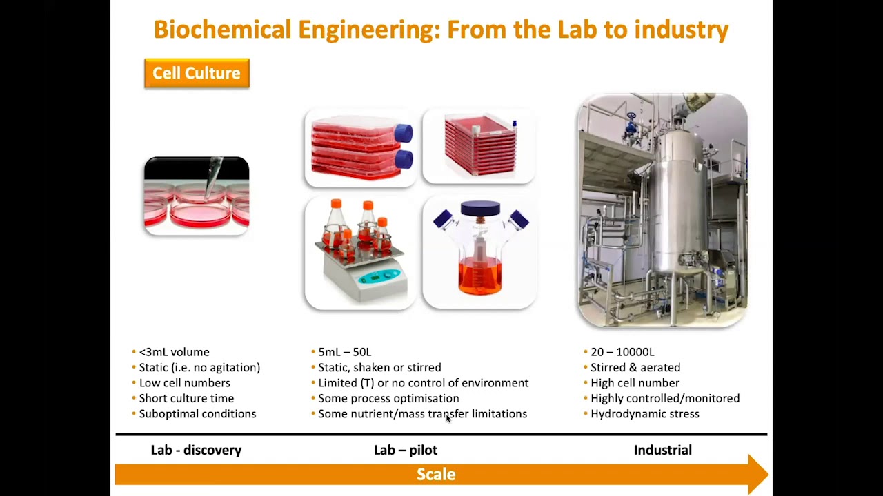 Biochemical Engineering MSc Webinar 27 May 2020 - YouTube