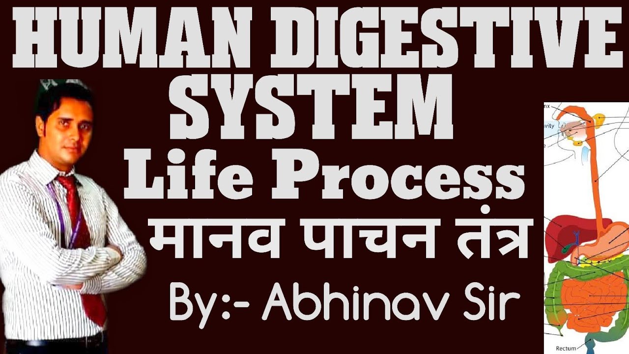 Human Digestive System |Class 10th Biology LIFE PROCESS | by Abhinav ...