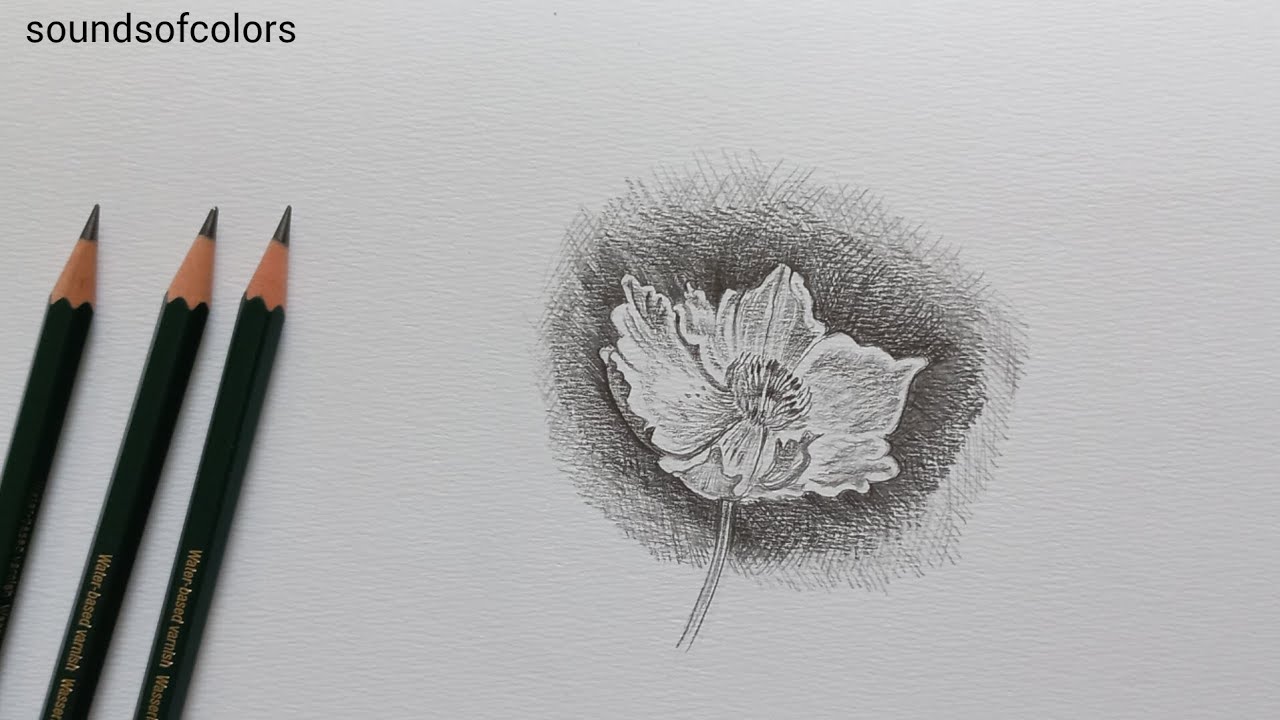 How to Draw a Realistic Flower | How to Draw a Beautiful Flower Easy ...