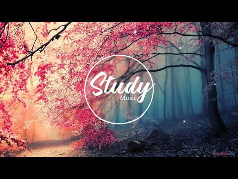 Lady Gaga - Poker Face Lady Gaga Poker Face TikTok Remixa| Nhạc Hot Tiktok Douyin【抖音】[S Clouds]