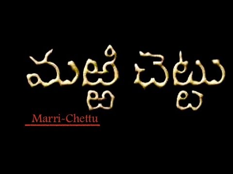 Marrichettu (మర్రి చెట్టు) Telugu short movie - YouTube