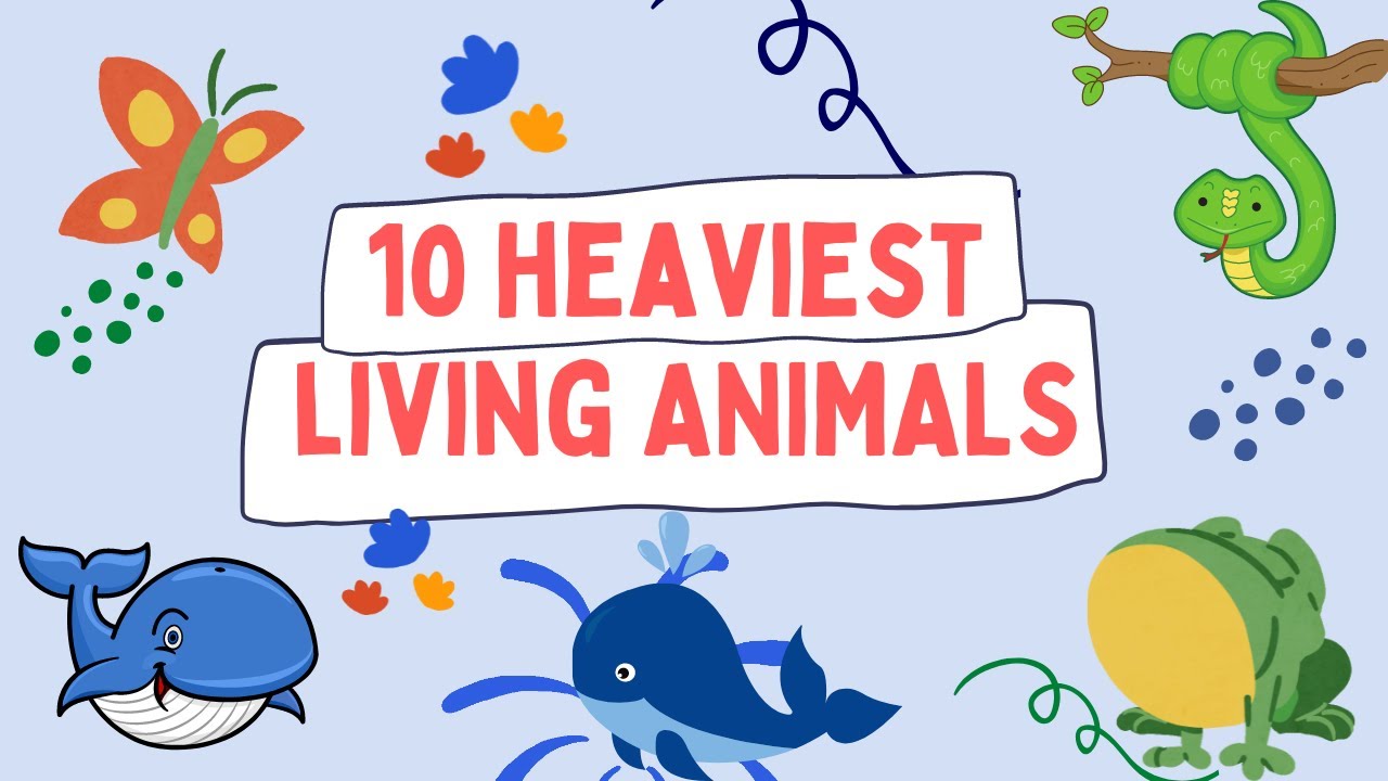 10 HEAVIEST LIVING ANIMALS || Animal Vocabulary || Animal Kingdom ...