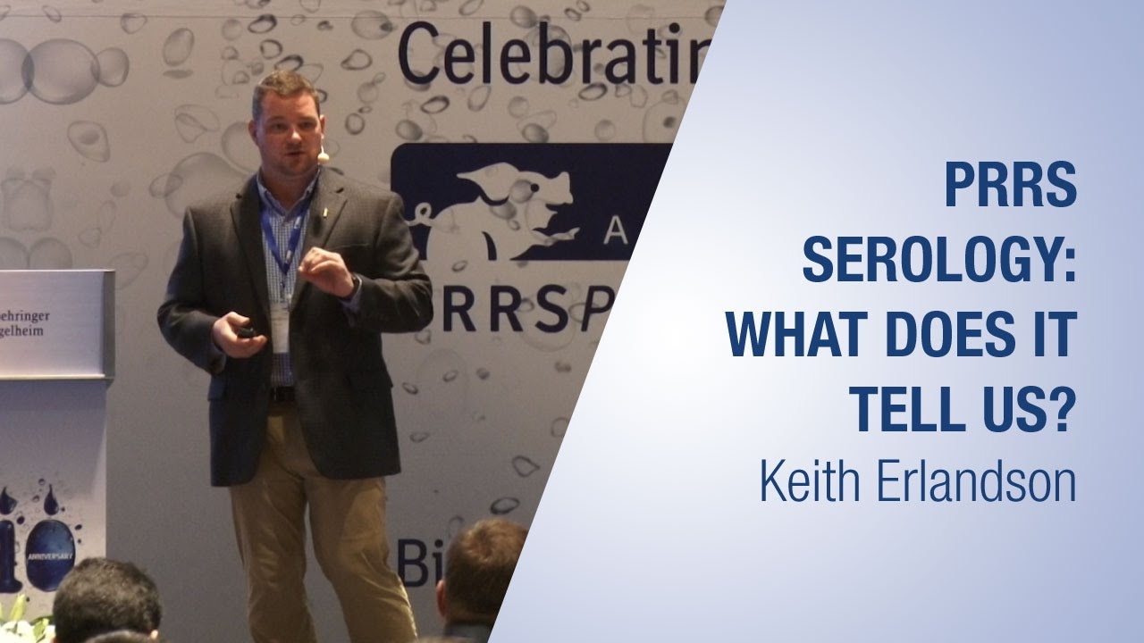 Keith Erlandson - PRRS serology: What does it tell us? - YouTube