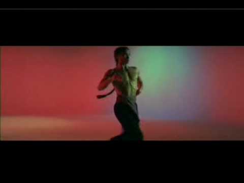 Hung Gar 5 Animals and 5 Elements Fist (十形拳) Forms - YouTube