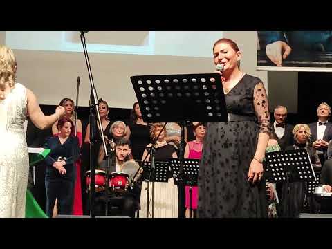 RAFİYE NEFİS / Vazgeçtim -N.Y