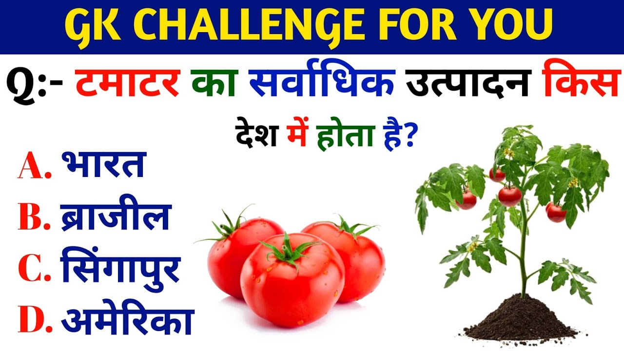 GK Question || TOp 15 GK Questions || GK Questions And Answers || GK ...