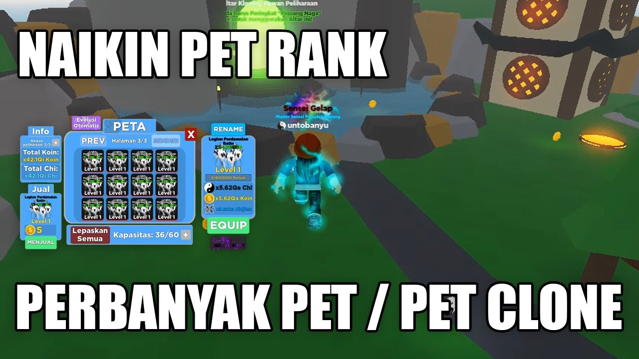 Cara Memperbanyak Pet dan Naikin Pet Rank Ninja Legends - Roblox - YouTube