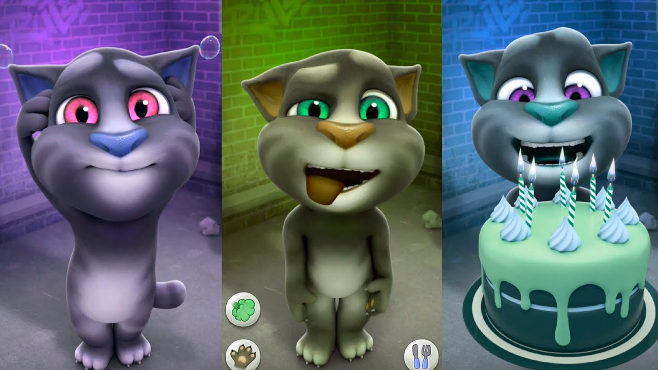 talking tom cat | talking tom | talking tom cat funny video 😹😹😹 - YouTube