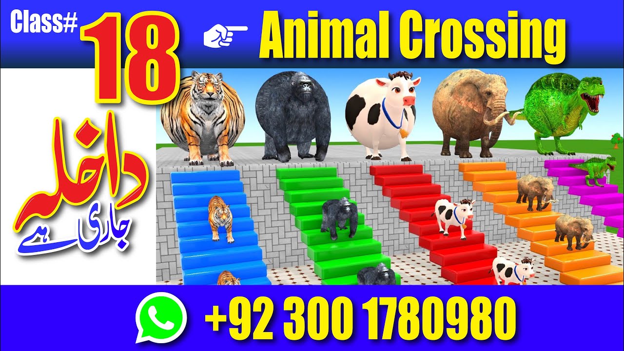 Animal Crossing Fountain Full Course in 15 Days | class 18 - YouTube