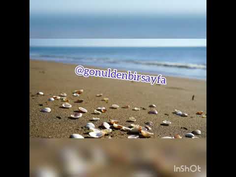 DENİZ ŞİİRİ