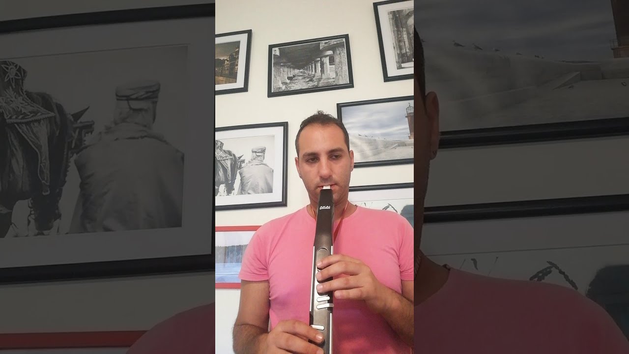 Turkish Clarinet on Ewi4000S - YouTube